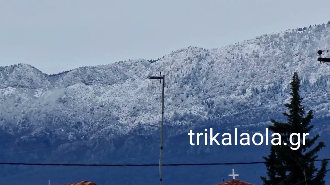Ο Κόζιακας άσπρισε φορώντας τα καλά του για τα Χριστούγεννα (φωτο ...