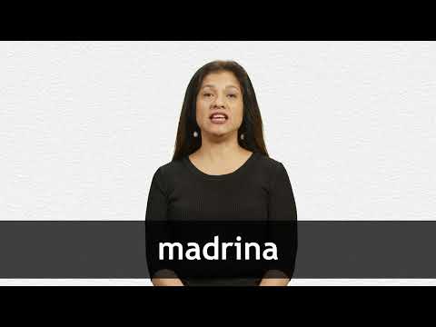 English Translation of “MADRINA” | Collins Spanish-English Dictionary