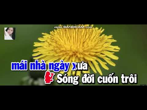 Sông Quê - Karaoke Nhạc Song Ca Thiếu Giọng Ca Nam, Hát Cùng LeHang975