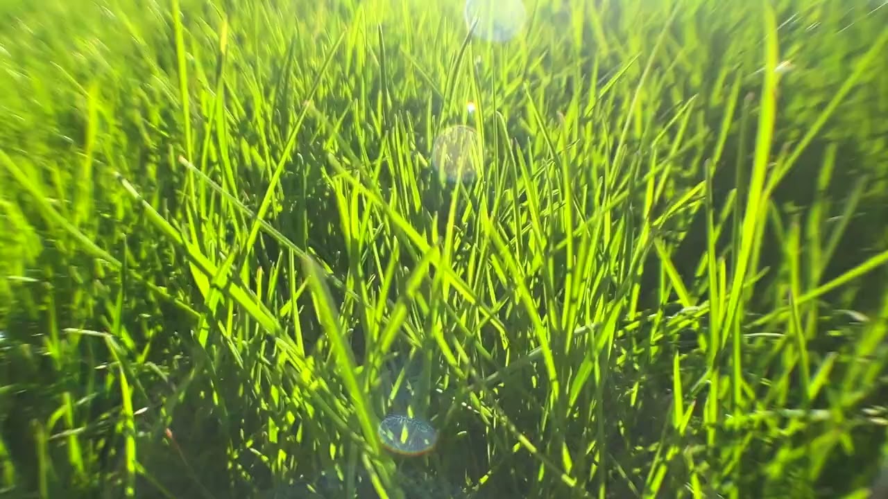 touch grass