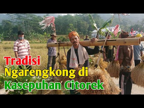 Desa Wisata Citorek Sabrang