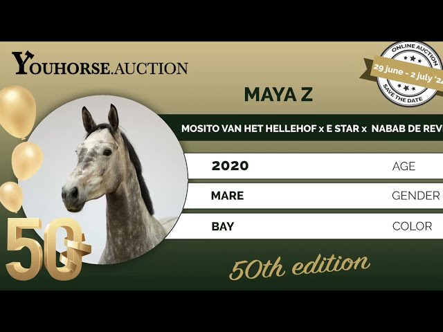 Youhorse.auction | Maya Z