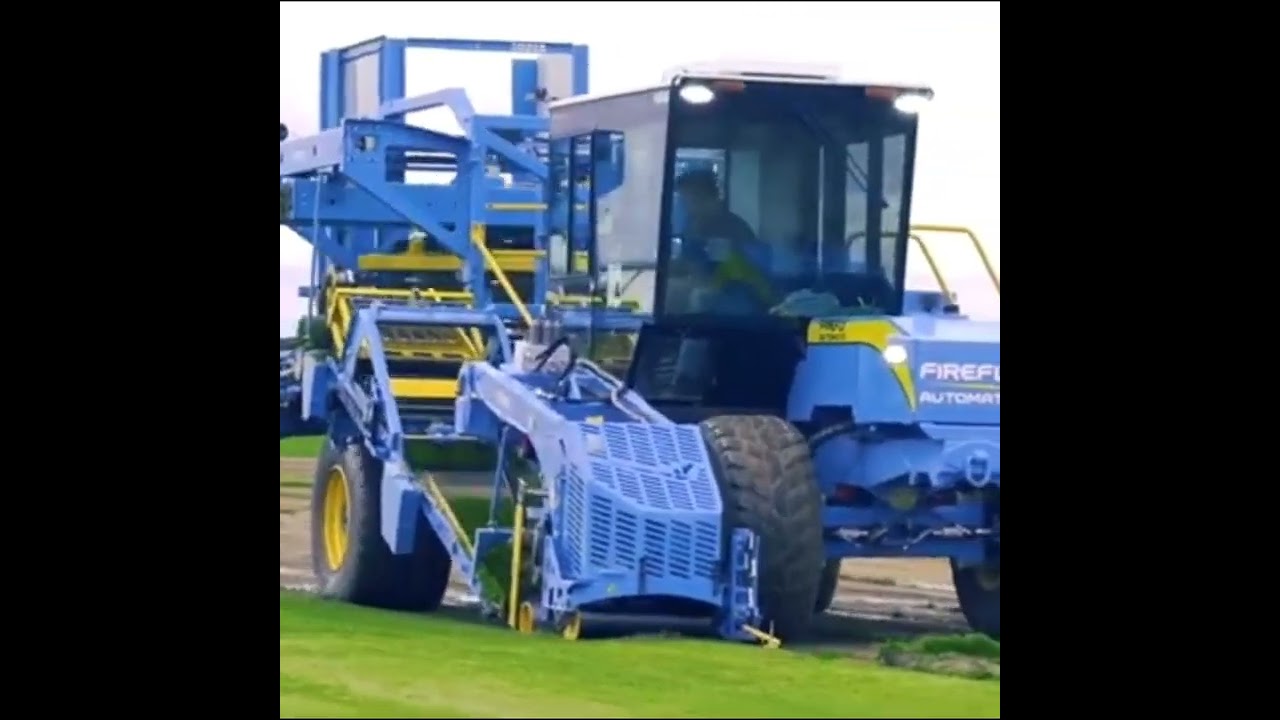 Incredible Firefly Automatic machine