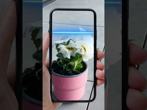 ChatAI Plant Helper
