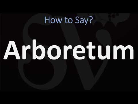 How to Pronounce Arboretum? (2 WAYS!) British Vs US/American English Pronunciation
