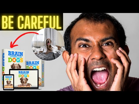 Brain Training for Dogs Adrienne Farricelli - Brain Training for Dogs Review - Brain Training 4 Dogs
