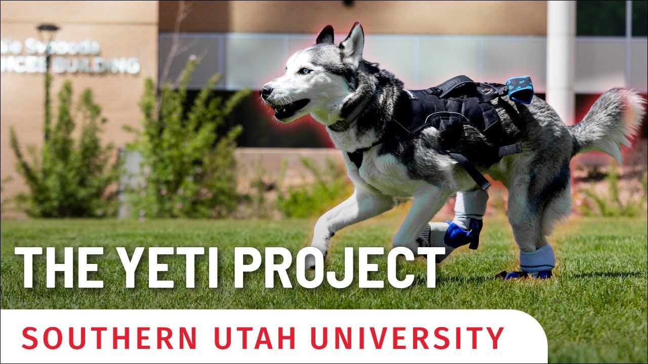 SUU: The Yeti Project