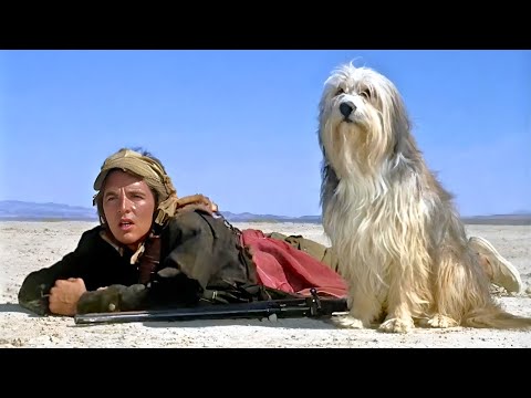 Fallout Survivor with Psychic Dog Impregnates Underground Community of Clown Women | Movie Recap