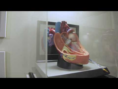 Are all heart beat irregularities dangerous? What makes your heart skip a beat?
