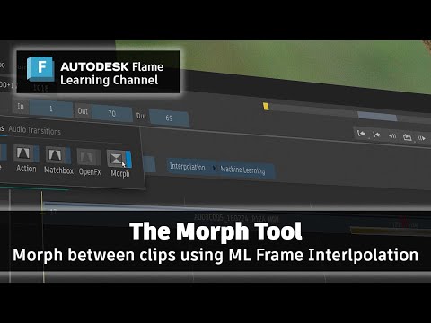 Machine Learning Morph - Flame 2025.2