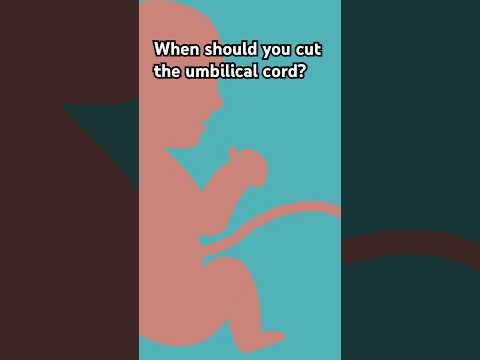 When should you cut the umbilical cord?