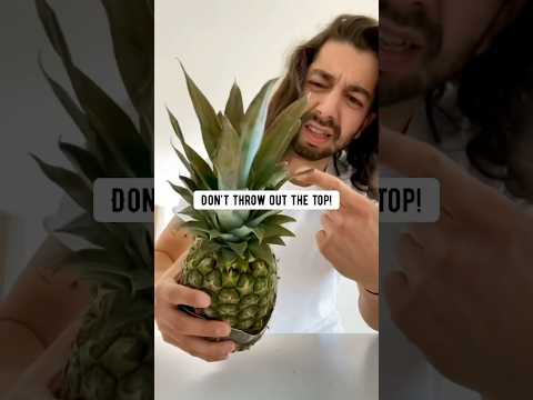How to grow pineapples using a store-bought pineapple! 🍍 creative explained