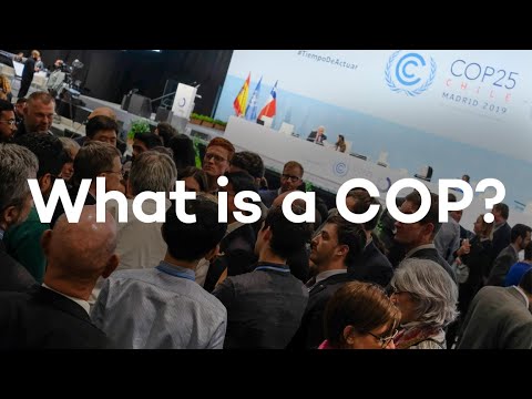 What is a COP?
