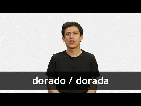 English Translation of “DORADO” | Collins Spanish-English Dictionary