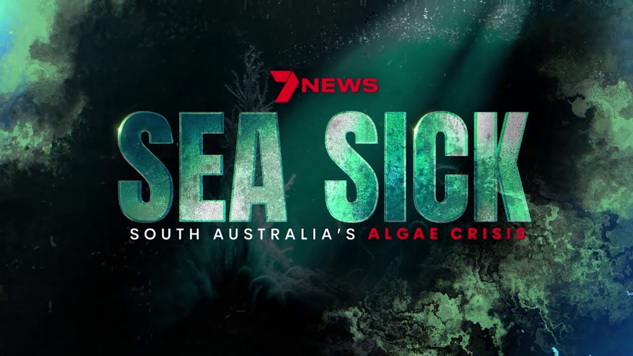 Sea Sick: South Australia’s algae crisis – a 7NEWS Adelaide special event