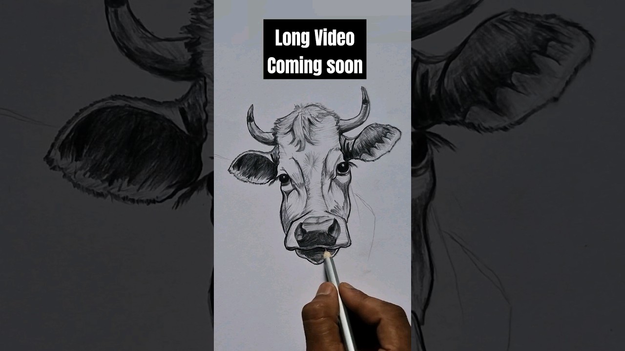 Cow Scale Stock Illustrations #trending #shorts #drawing #art #cow #lakshmisagarart