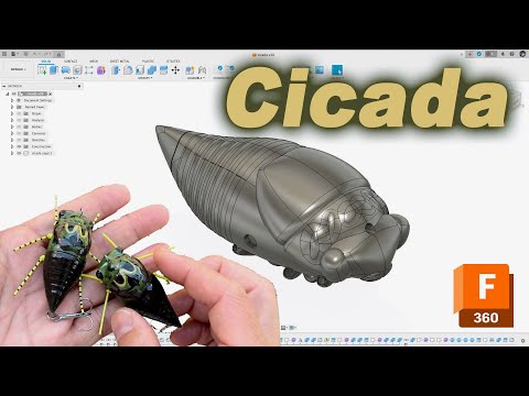 🐚 Cicada Lure Shell・ STL File for 3D printing・Cults