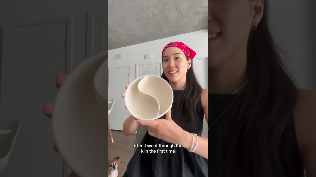 Yin yang bowl reveal
