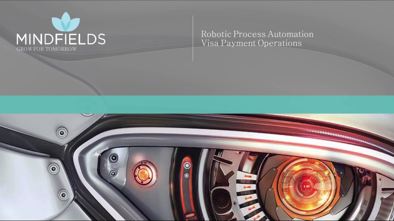 Robotic Process Automation of Visa Payment Operations