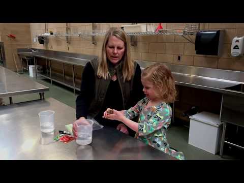UMN Extension Seed Starting: Rag Doll Method
