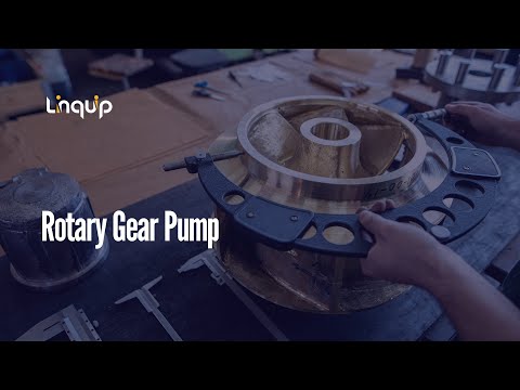Rotary Gear Pump