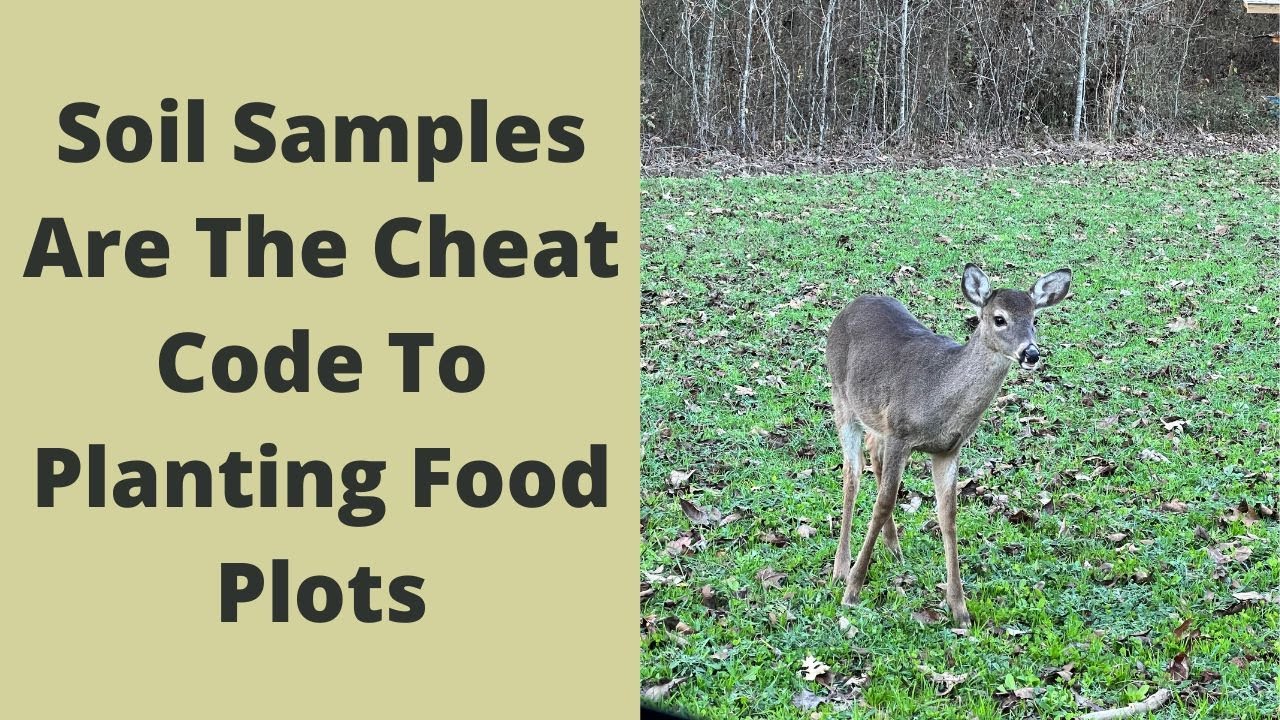 How To Read a Soil Test Sample