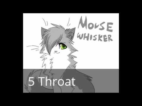 My Top 10 Favorite Suffix Names in Warriors
