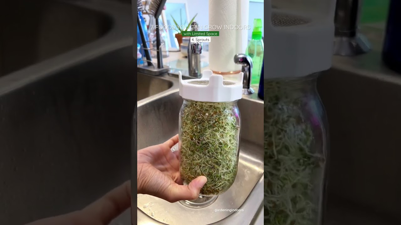 7 Foods You Can Grow Indoors  with Limited Space