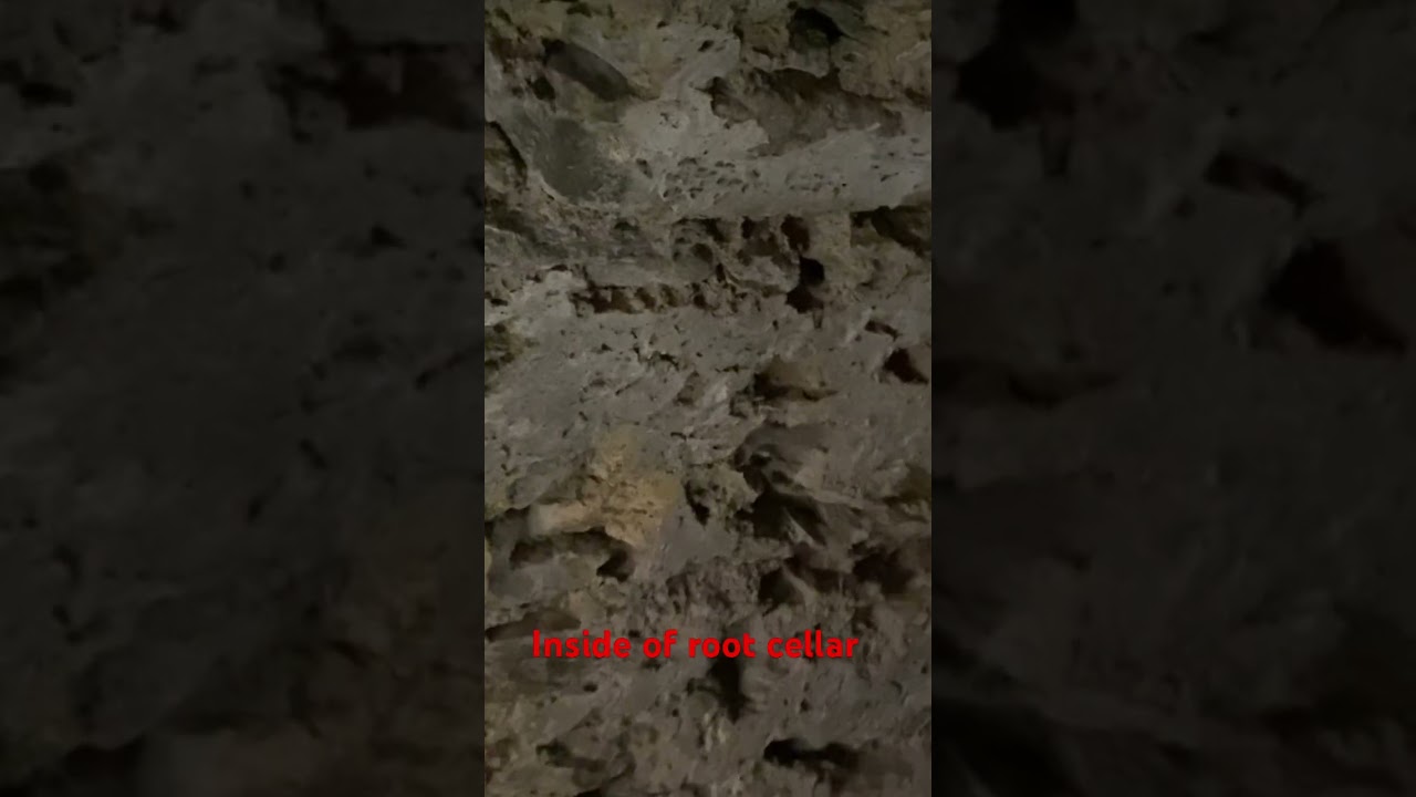 Inside of abandoned root cellar @dayhikingandherpingdudes