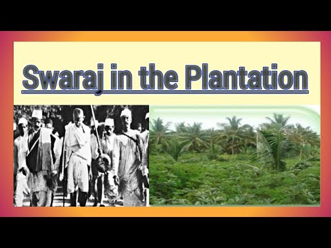 Swaraj In Plantation -- Nationalism in India --- Video Lecture - Class 10