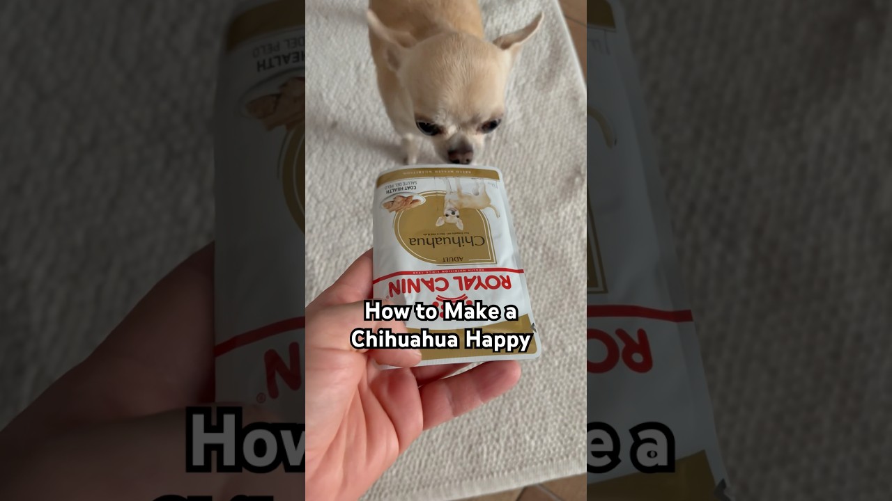It’s working #dogs #shorts #memes