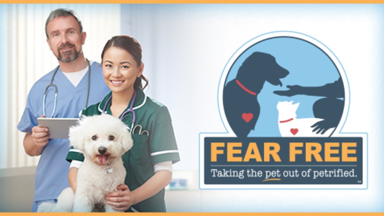 What Is Fear Free Certification
