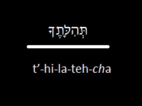 Prayer-eoke: Adonai S'fatai Tiftach (Prelude to the Amidah/Tefilah)