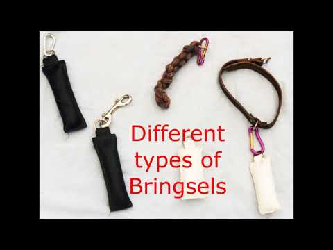 Bringsel Alert in SAR work
