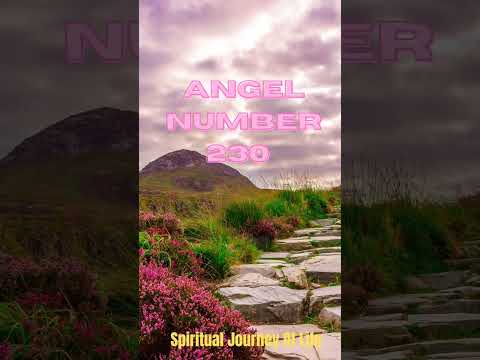 Angel number 230 😇| Spiritual journey of Life 🦋🥰