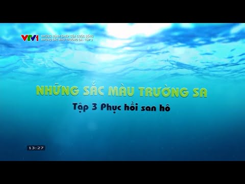 Trường Sa: Hành trình phục hồi san hô giữa biển khơi | Những mảnh ghép của cuộc sống | VTV