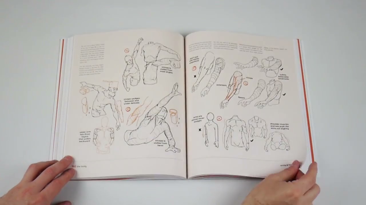 Anatomy for Artists: Drawing Form & Pose Flipthrough