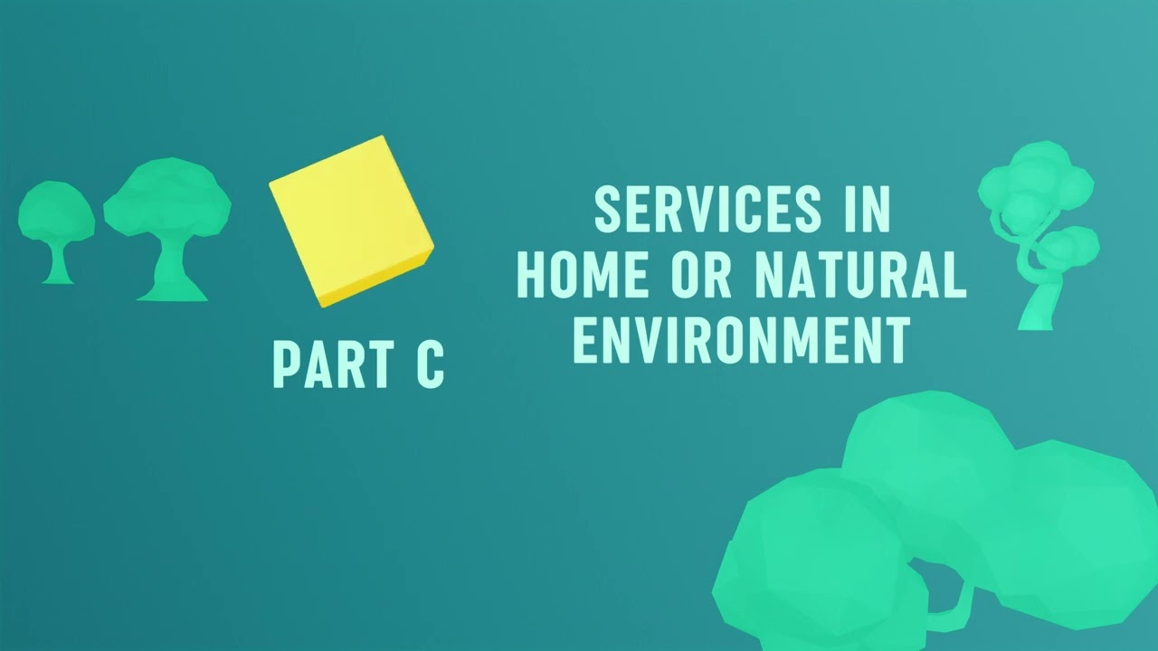 Video 2: Comparison Between Programs 2023