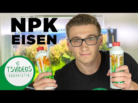 Düngung im Aquarium - NPK und Eisen