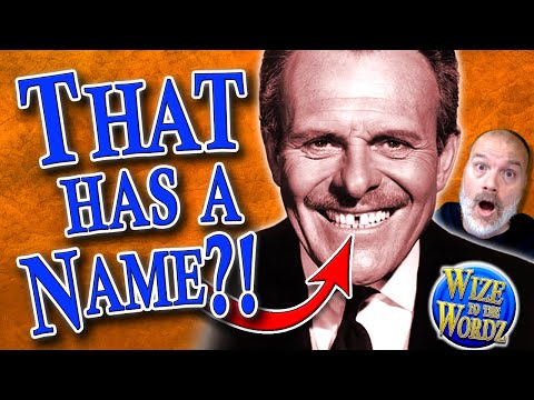 Surprising REAL Names for 30 Everyday Things