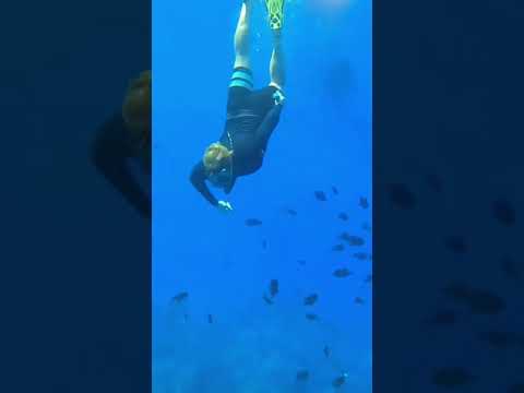 Top 3 Best Snorkeling Spots in Maui