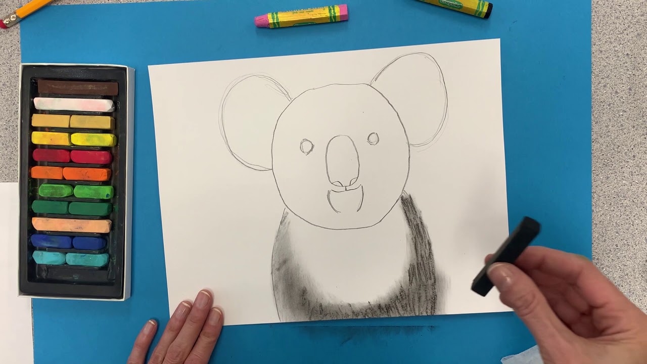 Drawing Koala Bears Part 2