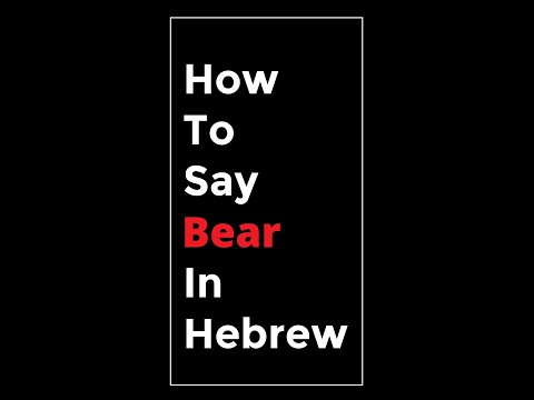 How to say Bear in Hebrew