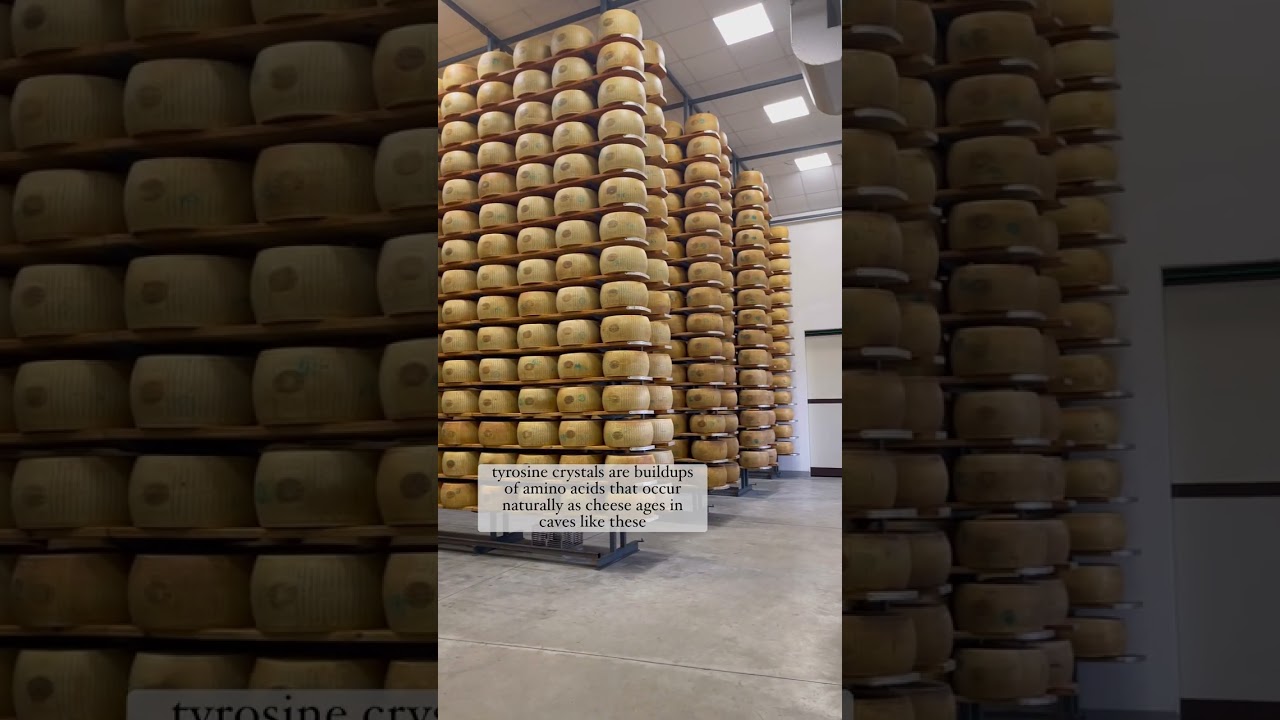 Tyrosine Crystals in Parmigiano Reggiano! #cheese #softcheese #foodie