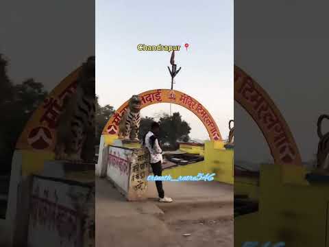 CHANDRAPUR || CHANDRAHASINI TEMPLE|| #shortvideo #trending #viralshorts #cgsong