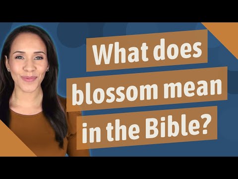 What does blossom mean in the Bible?