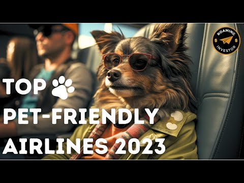 Most Pet Friendly Airlines in 2023