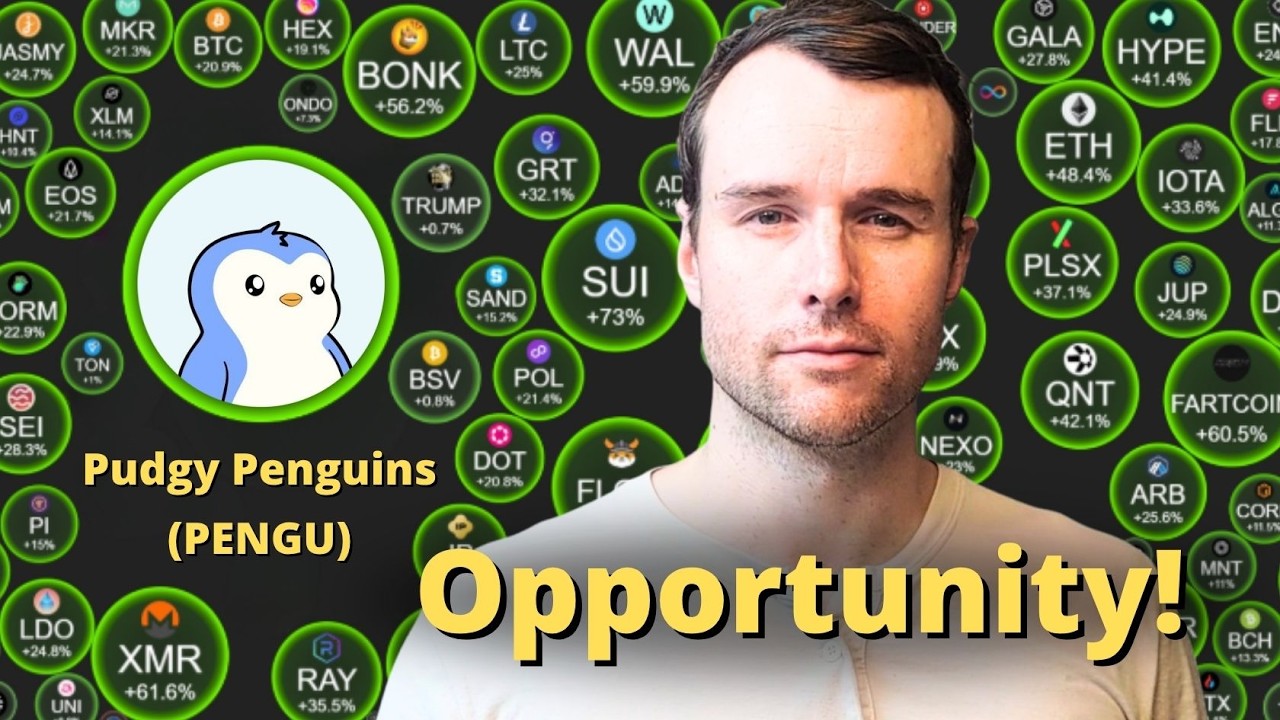 Pudgy Penguins ⚠️ On-Chain Data Reveals This About Pengu