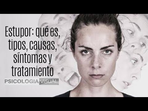 Estupor: qué es, tipos, causas, síntomas y tratamiento Ψ #Psicología ...