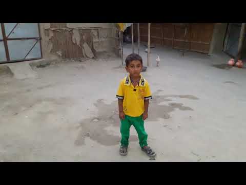 Shahid khan md